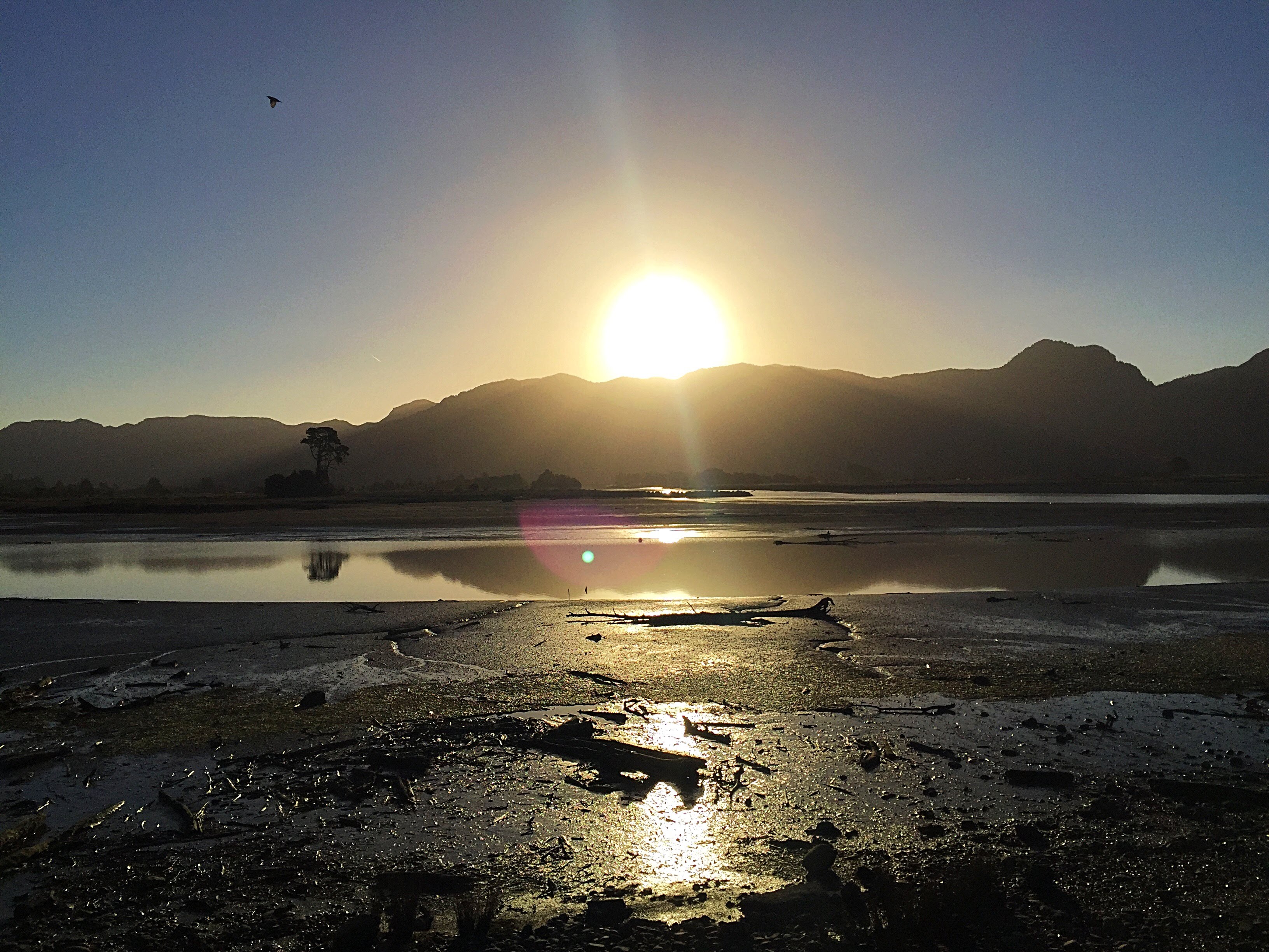 IMG_0163.jpg | SUNGRL